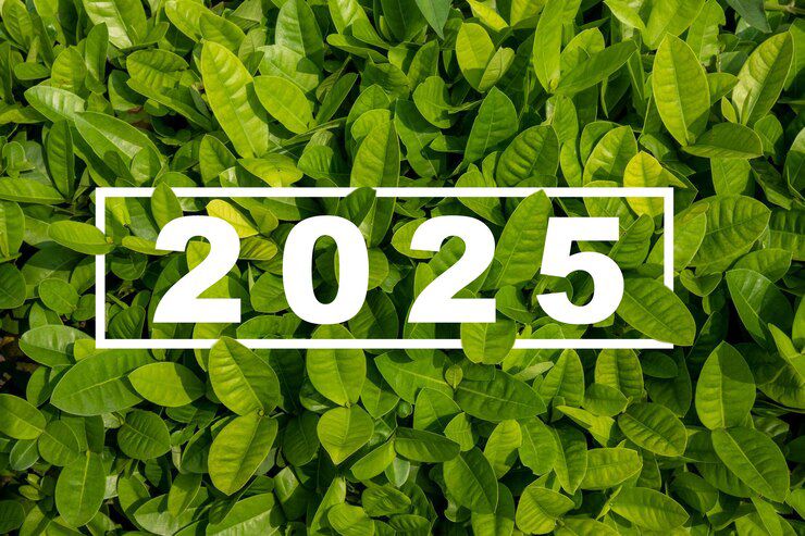 Otorga SHCP primer lugar al gobierno de Pepe Chedraui en materia de transparencia y rendición de ...